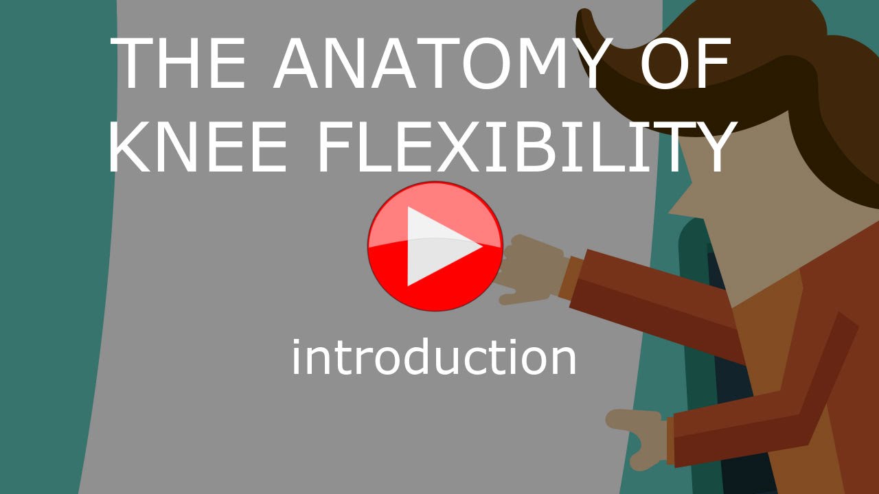 Intro to course on Anatomy of Knee Flexibility - YouTube