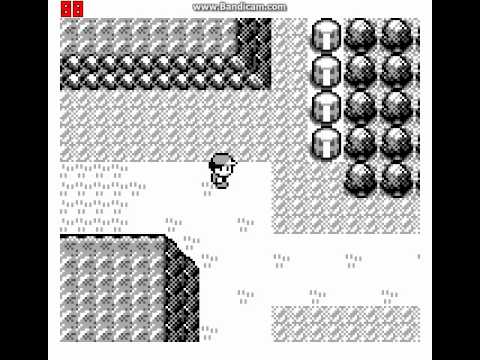 Pokemon Red Walkthrough Part 3: Training Pidgey - YouTube