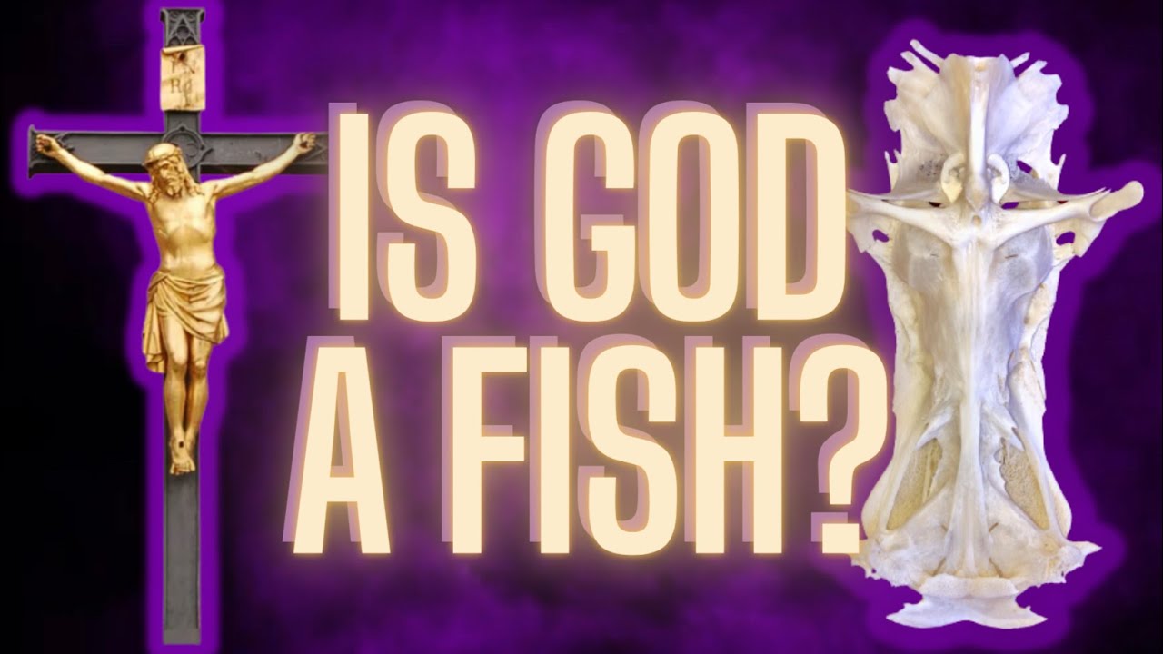 What Is The Crucifix Fish & Does It Prove Christianity? - YouTube