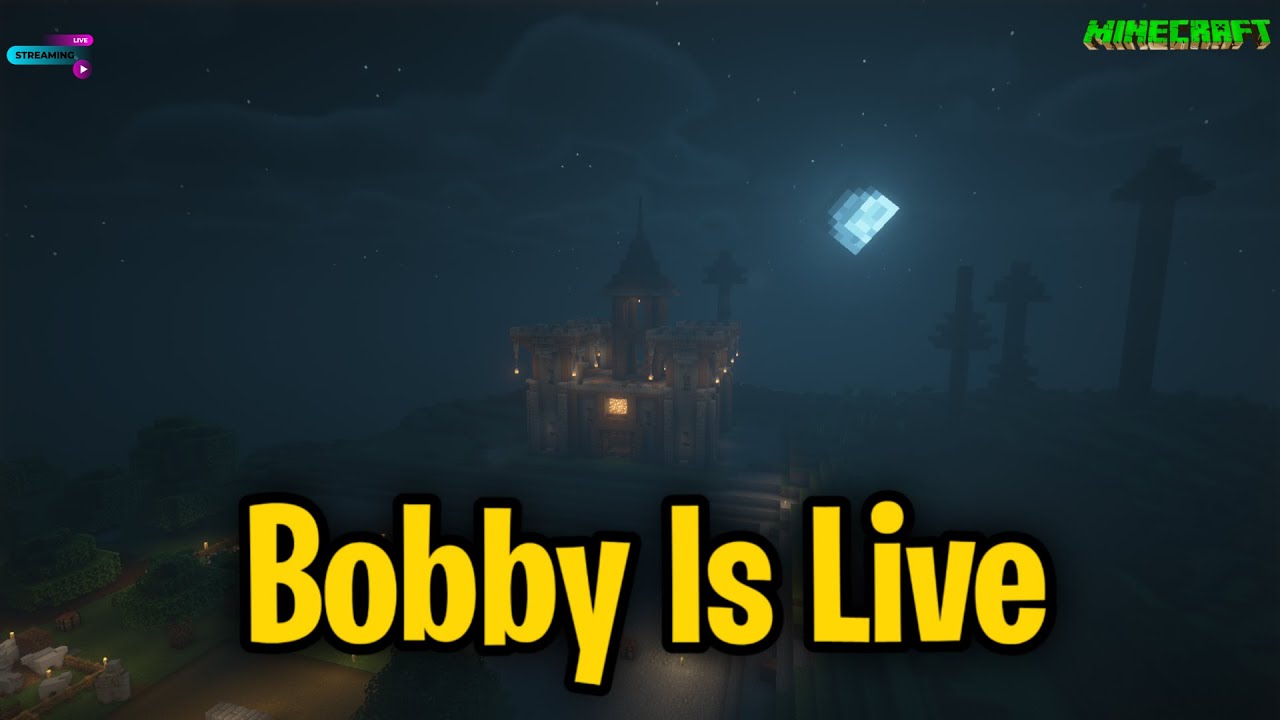 Cleaning Or Grinding In Minecraft With Bobby | Bobby Is LIve | Day 49 ...