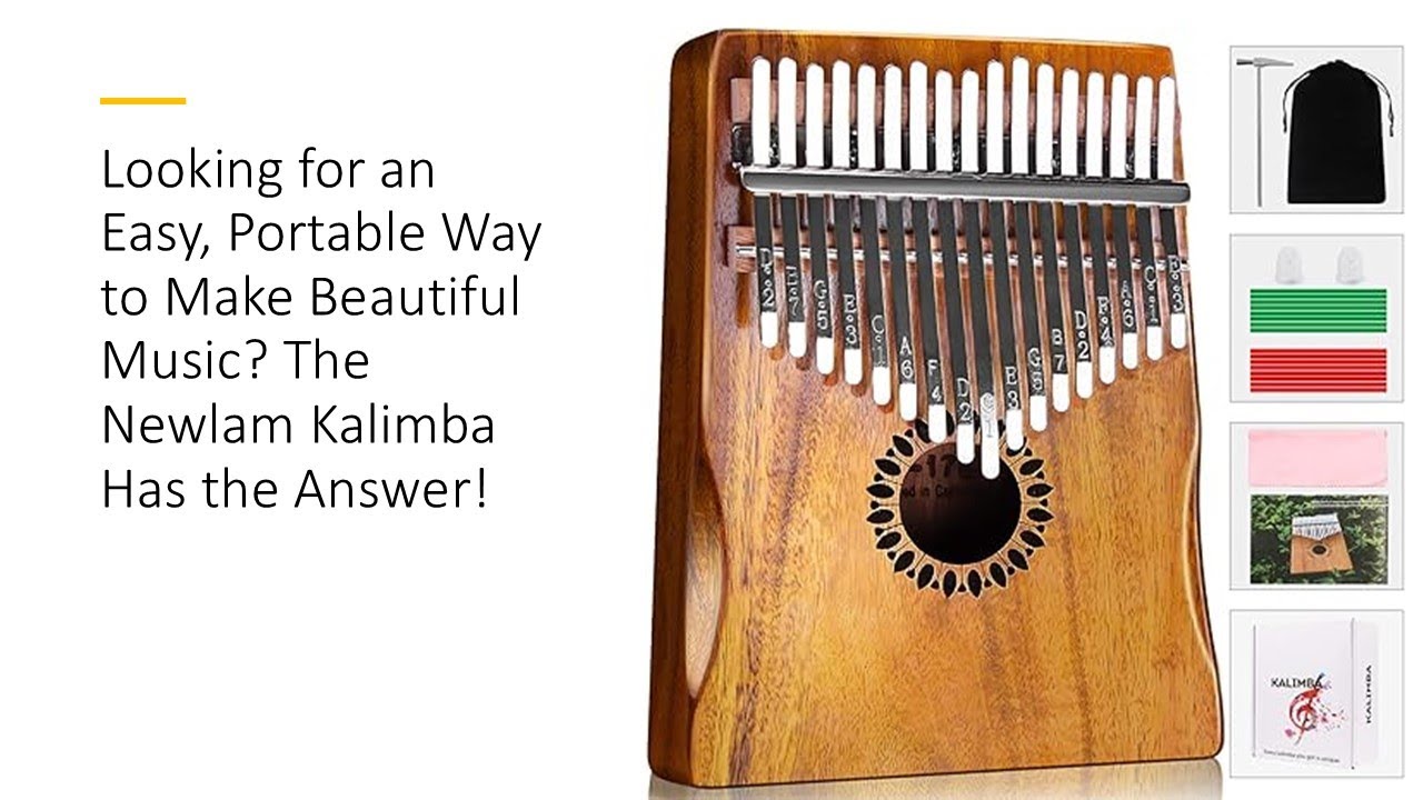 Looking for an Easy, Portable Way to Make Beautiful Music? The Newlam ...