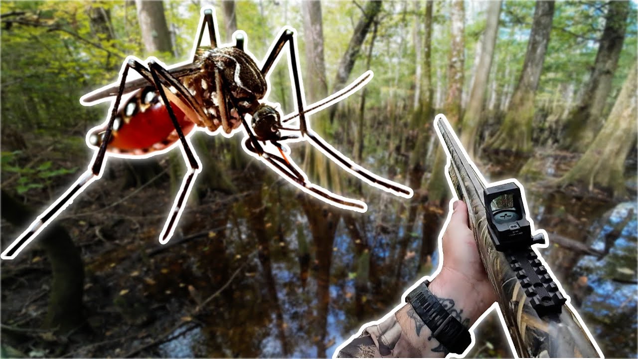 Squirrel Hunting the MOST Mosquito INFESTED Swamp in the WORLD - YouTube