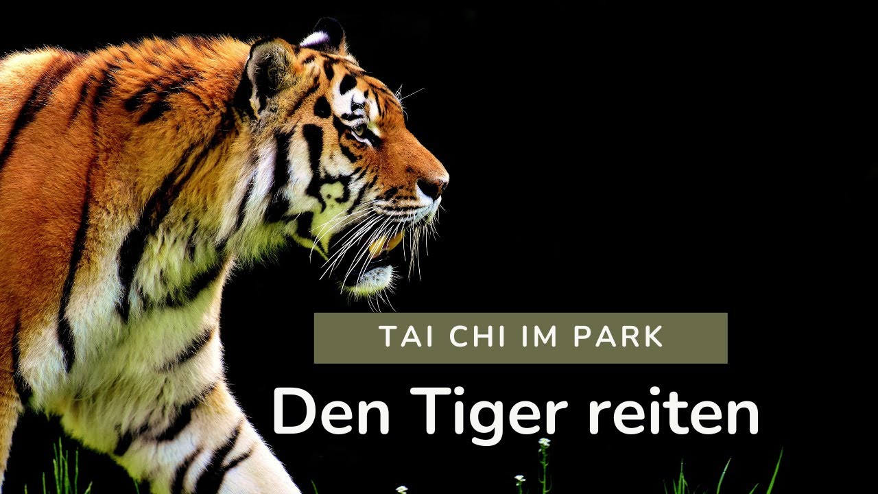 Wu Tai Chi Chuan. 6. Teil der 108er-Form nach Ma Jiangbao; 6th part of ...