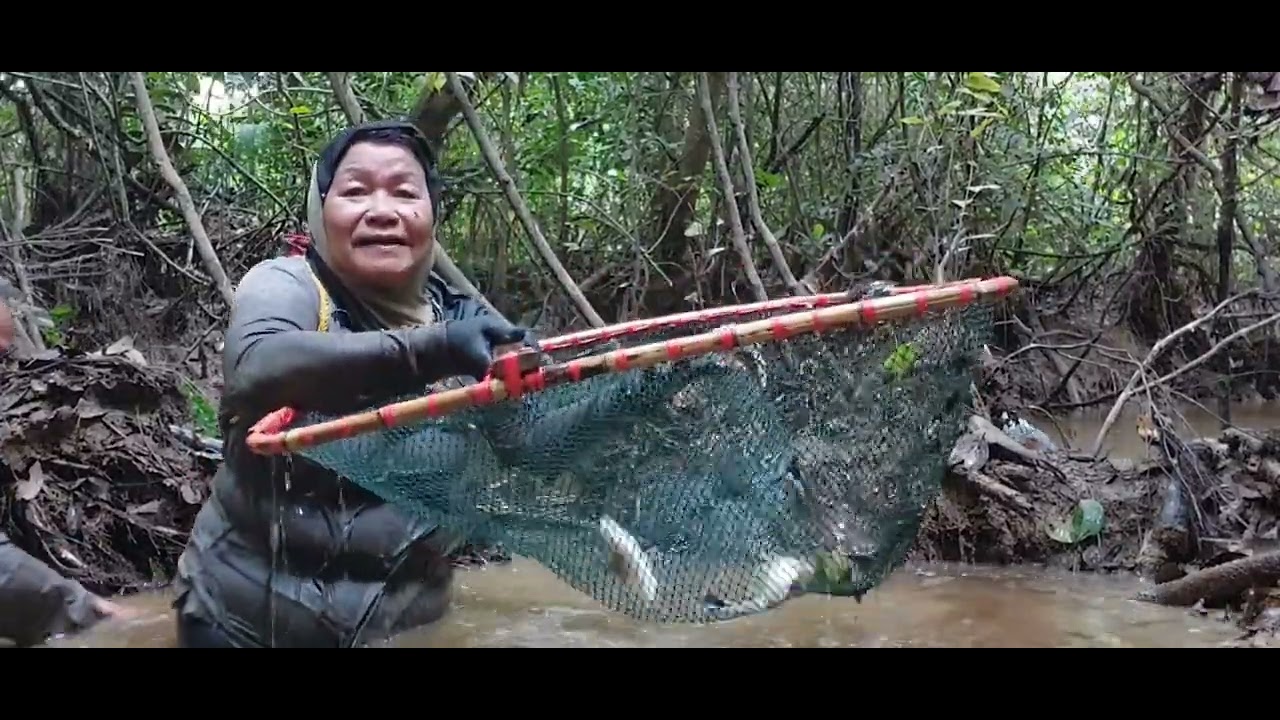 EPISODE 302:NYIKEP SUNGAI EKENG.BARU TERJUN SUNGAI,TERUS DAPAT IKAN ...