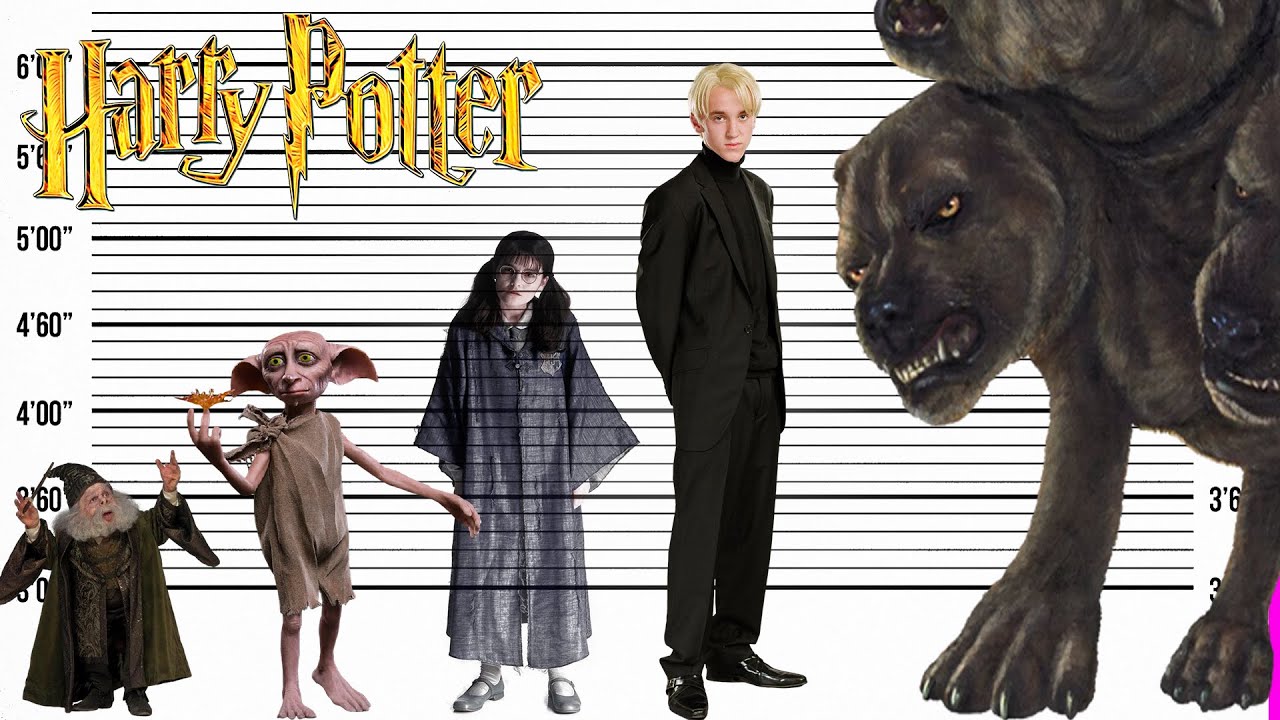 Harry Potter Size Comparison | Characters, Magical Creatures and ...