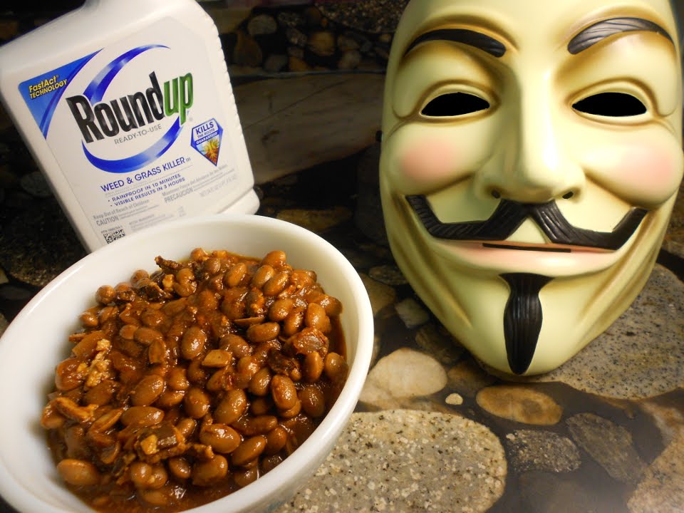 Boston Baked GMOs - YouTube