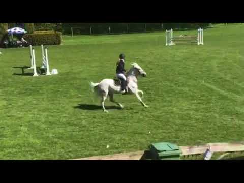 Blue Fancy MB**(100cm) - YouTube