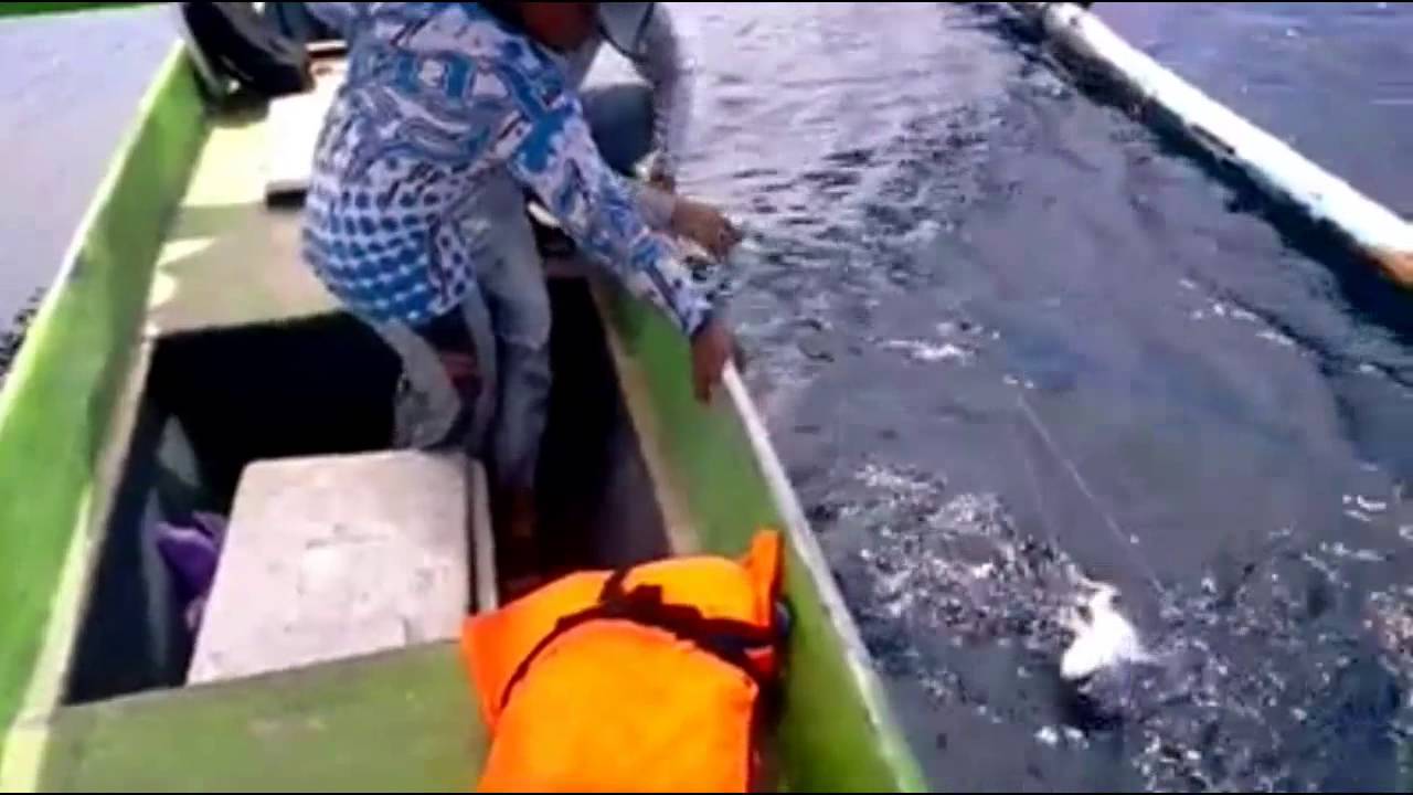 Angler Boys Catch Big Fish With Jigging Fishing Technique - YouTube