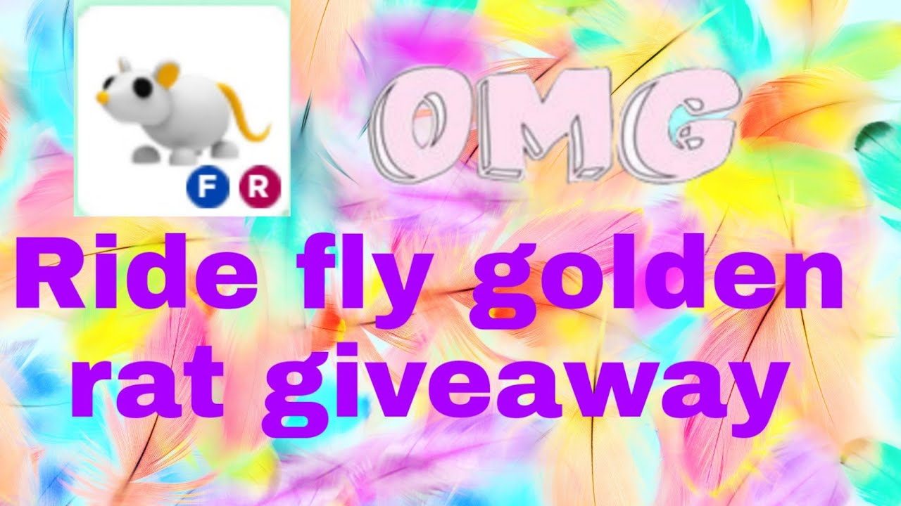 Fly Ride Golden Rat Giveaway - YouTube
