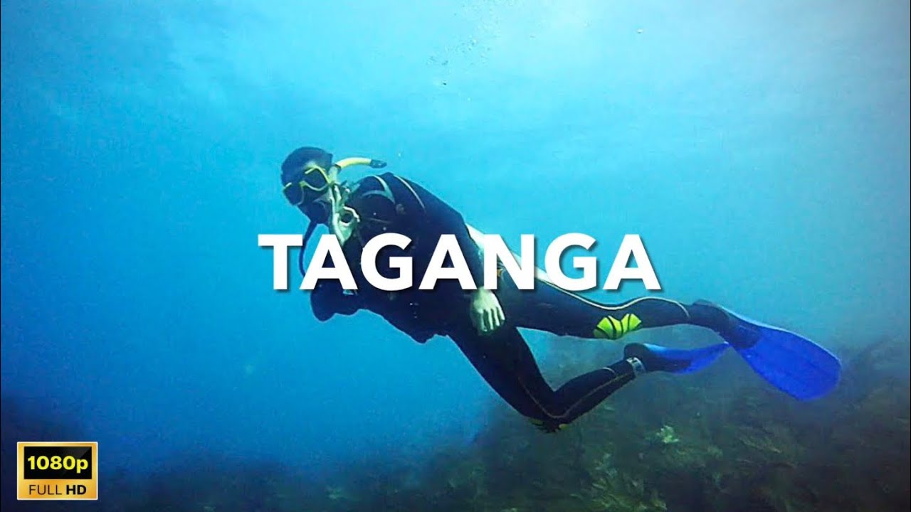 BUCEO EN TAGANGA, COLOMBIA - YouTube