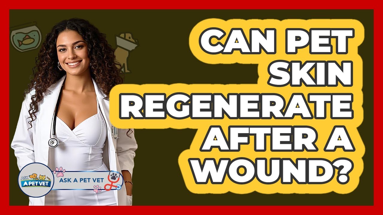 Can Pet Skin Regenerate After A Wound? - Ask A Pet Vet - YouTube