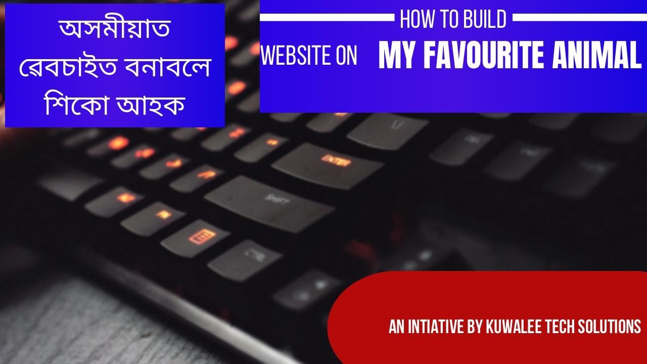 How to Build a Website on My Favourite Animals - YouTube