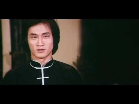 The victim-1980
