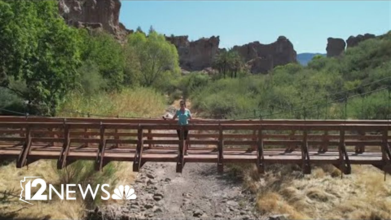 Rediscover Arizona: Visit the Boyce Thompson Arboretum - YouTube