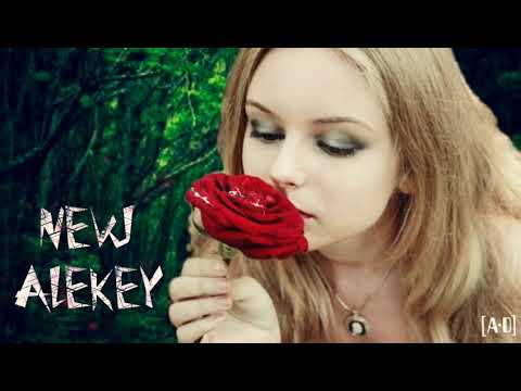 New Alekey - Last Feeling (Official Music) - YouTube