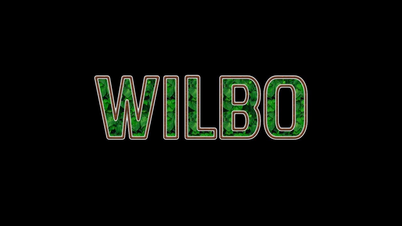 wilbo - YouTube