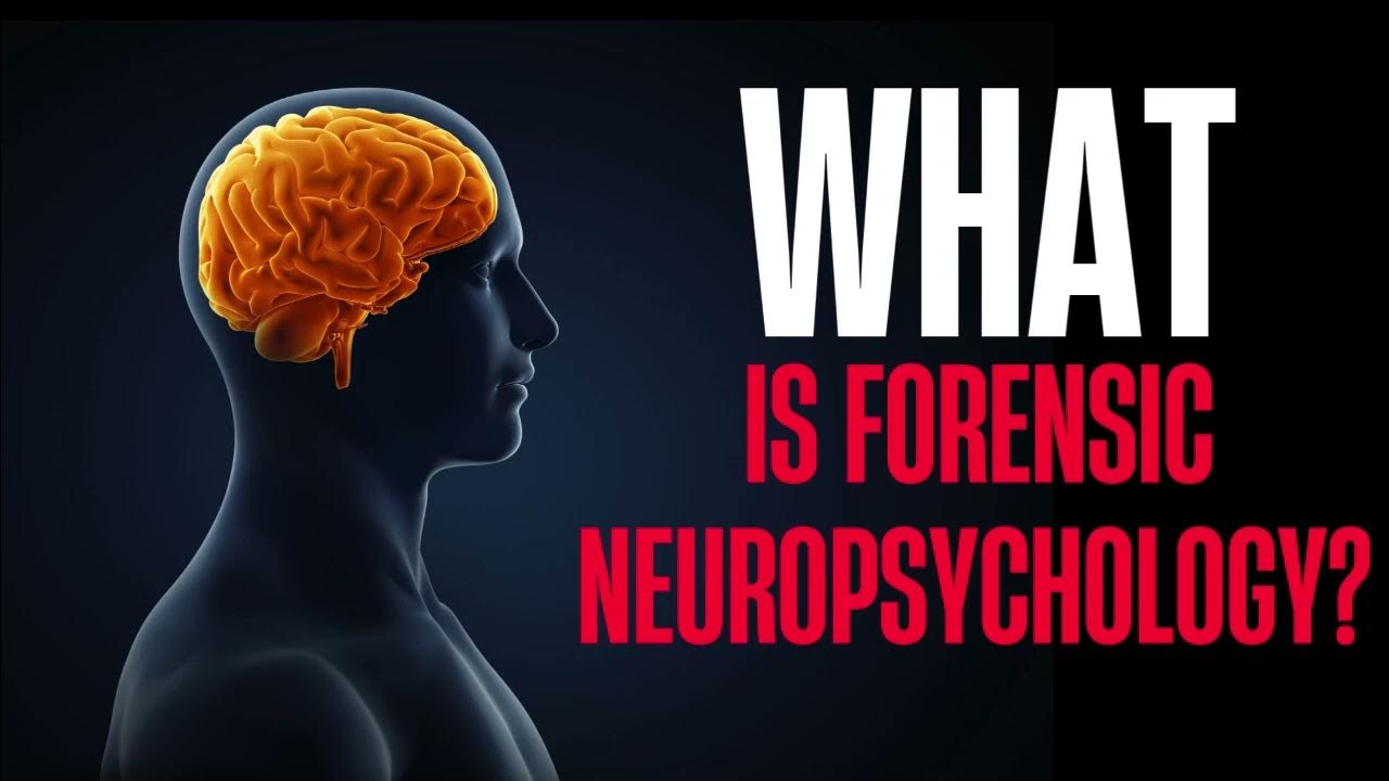 The Intersection of Mind, Brain, and Justice: What is Forensic Neuropsychology? - YouTube