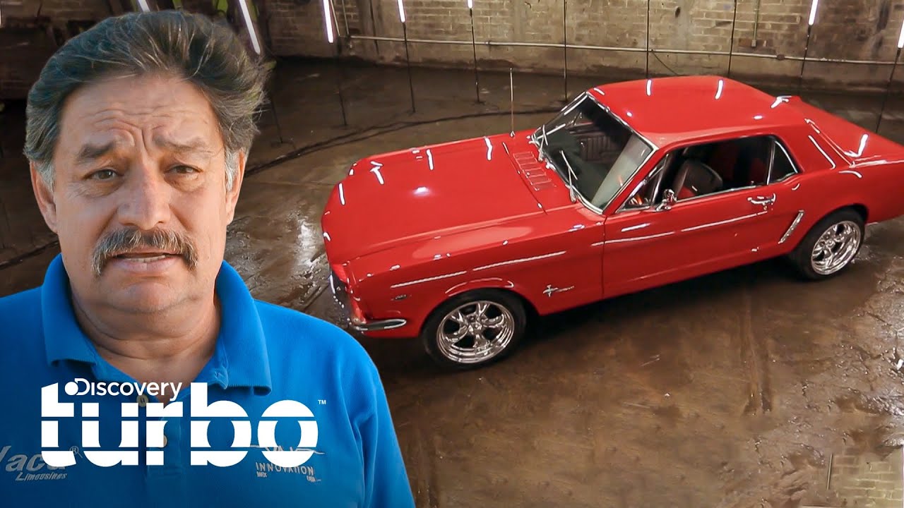 ¡Entregas sorpresas! Las favoritas de Martín Vaca | Mexicánicos ...