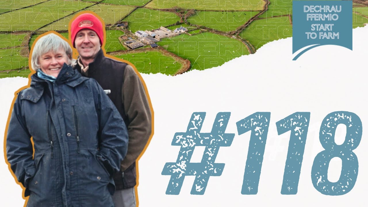 Cyfle Dechrau Ffermio - Treathro - Start to Farm Opportunity (118 ...