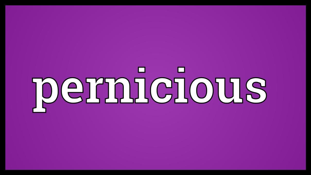 Pernicious Meaning YouTube