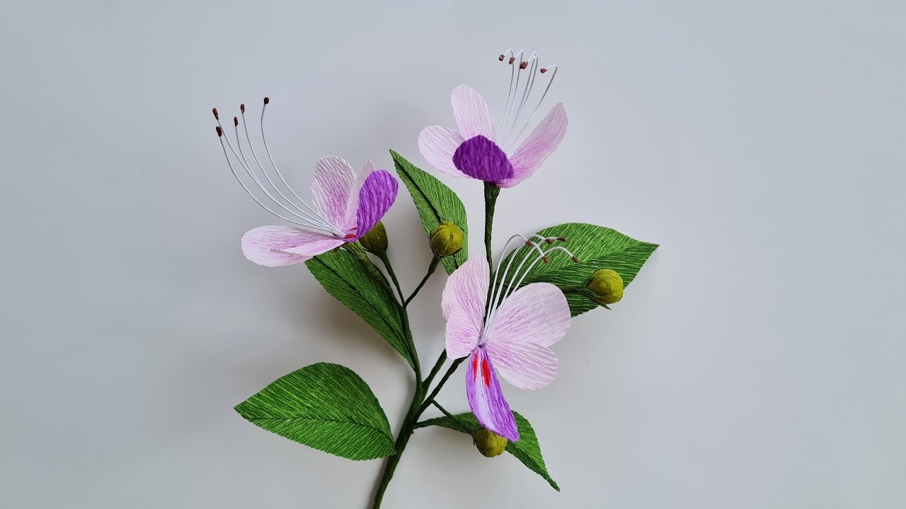 How To Make Blue Butterfly Bush Paper Flower / Paper Flower / Góc nhỏ ...