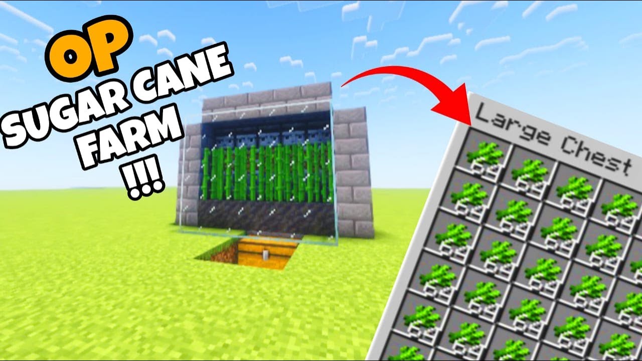 Easy Sugar Cane Farm for Beginners – ( Minecraft 1.21.5 - X ) - YouTube