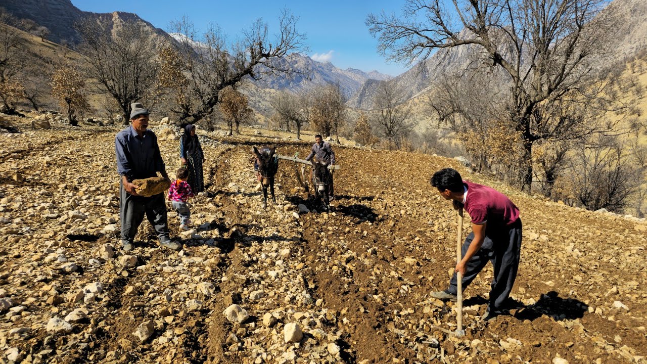 Nomadic Life: Traditional Tribal Agriculture - Nomadic Agriculture in ...