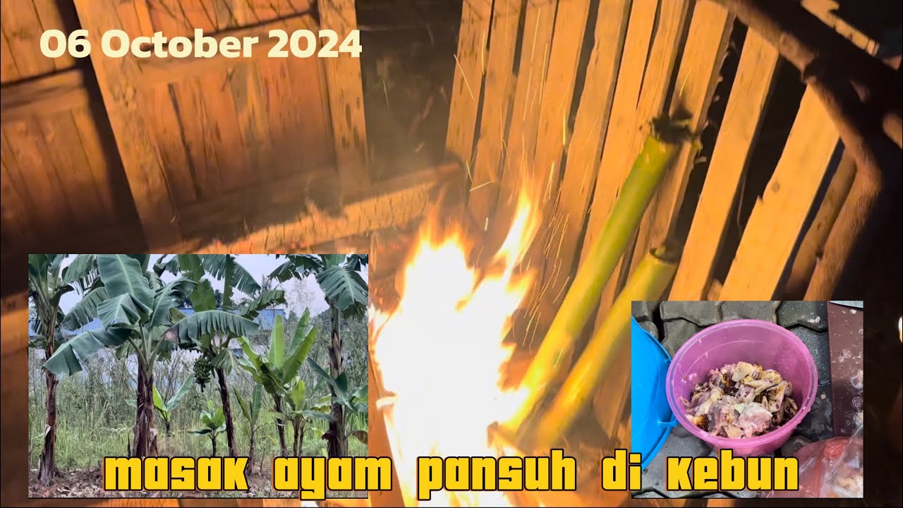 Masak ayam @manuk pansuh menggunakan ruas di kebun - YouTube