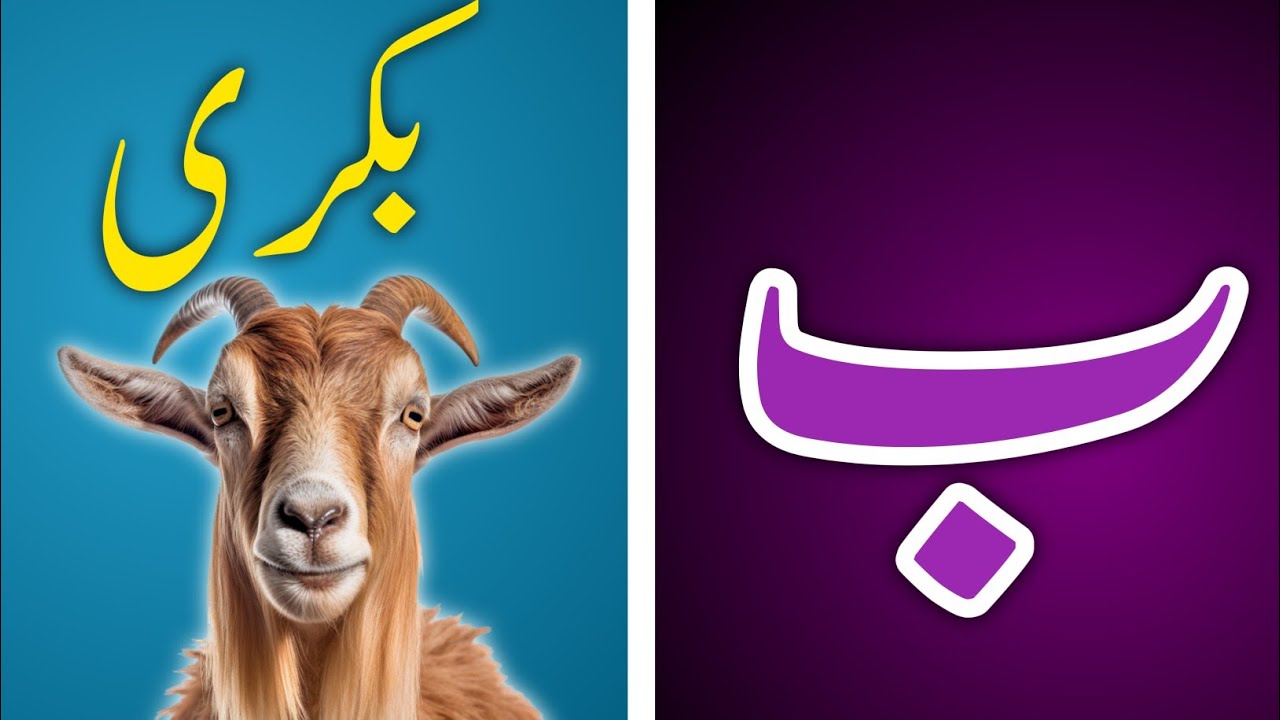 Alif se ananas || Huroof e tahaji || Urdu alphabets || Alif bay pay ...