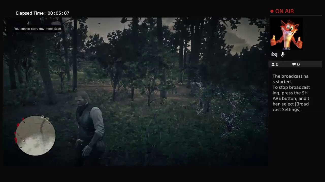 RDR2 How to make poisonous arrows - YouTube