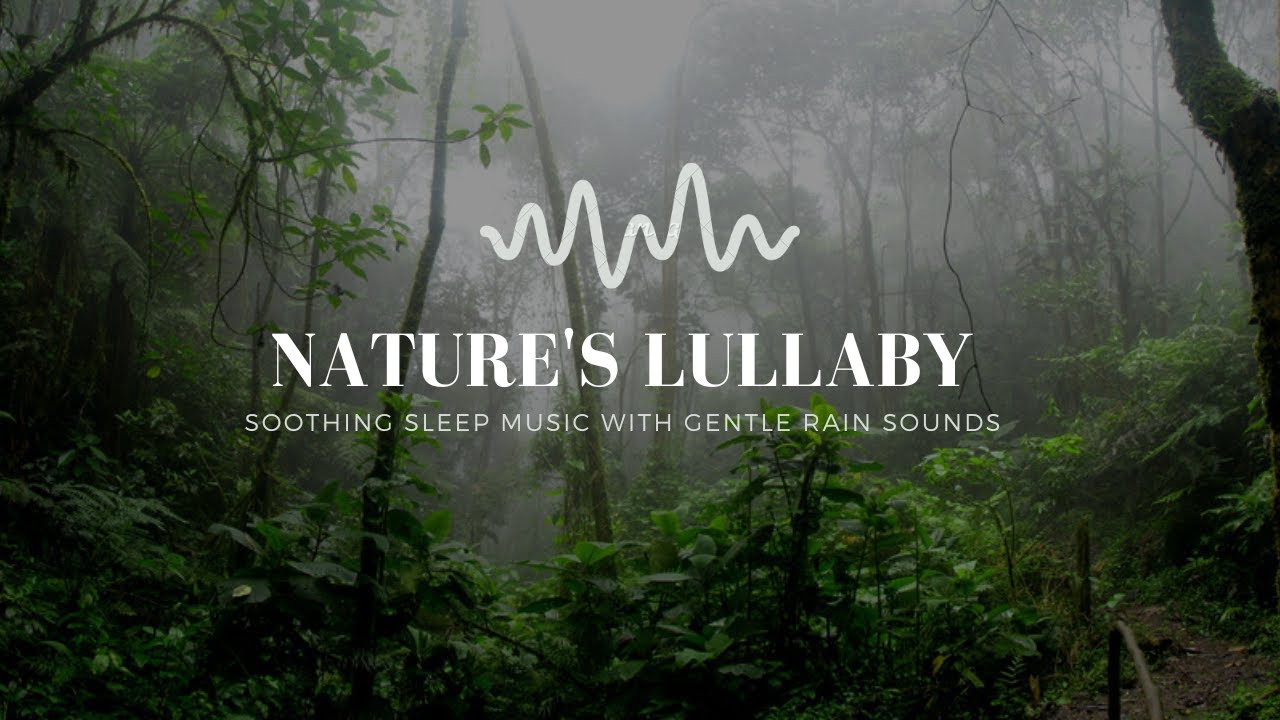 Nature's Lullaby : Soothing Sleep Music with Gentle Rain Sounds 🌧️ ...