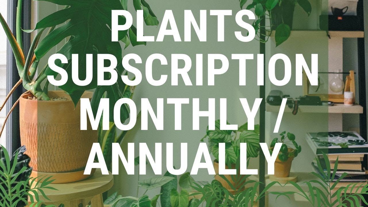 Monthly Subscription of Plants - Short introduction - Poday Online ...