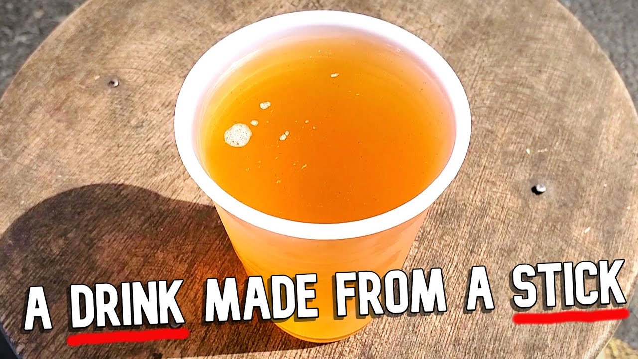 MOZOTE - A Slimy Drink Made Out of a Special Stick! (Triumfetta ...