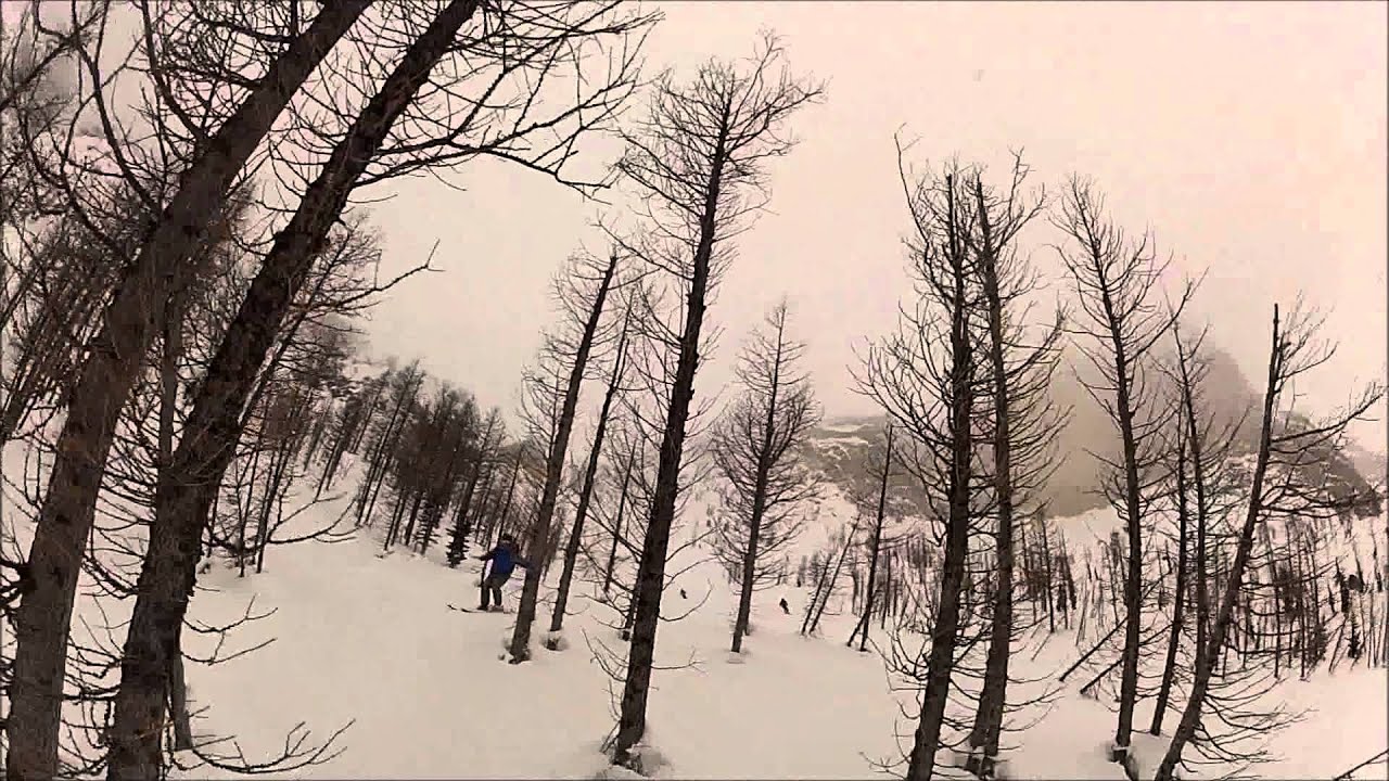 Rear Facing GoPro-Tree Skiing - YouTube