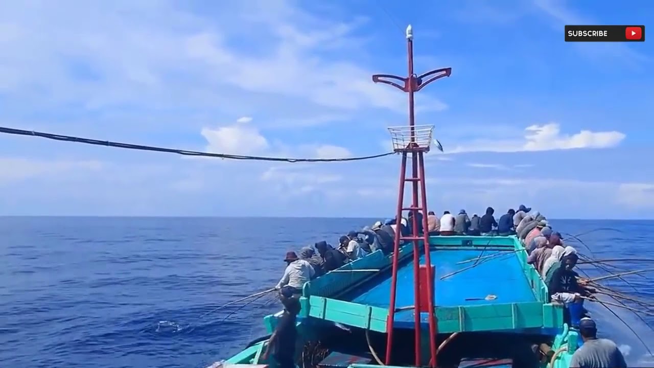 Amazing Fast Tuna Fishing Skill, Too Many Fish! Catching Tuna on The ...