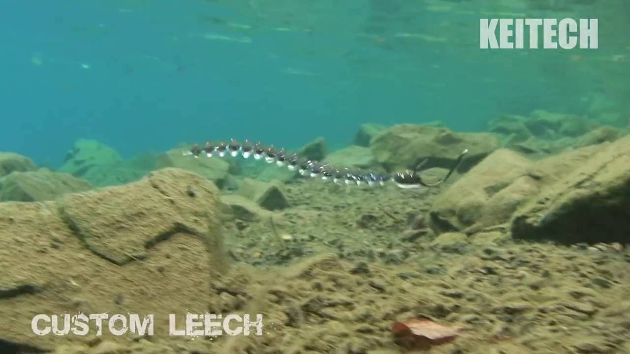 Keitech Custom Leech on Drop Shot Rig - YouTube