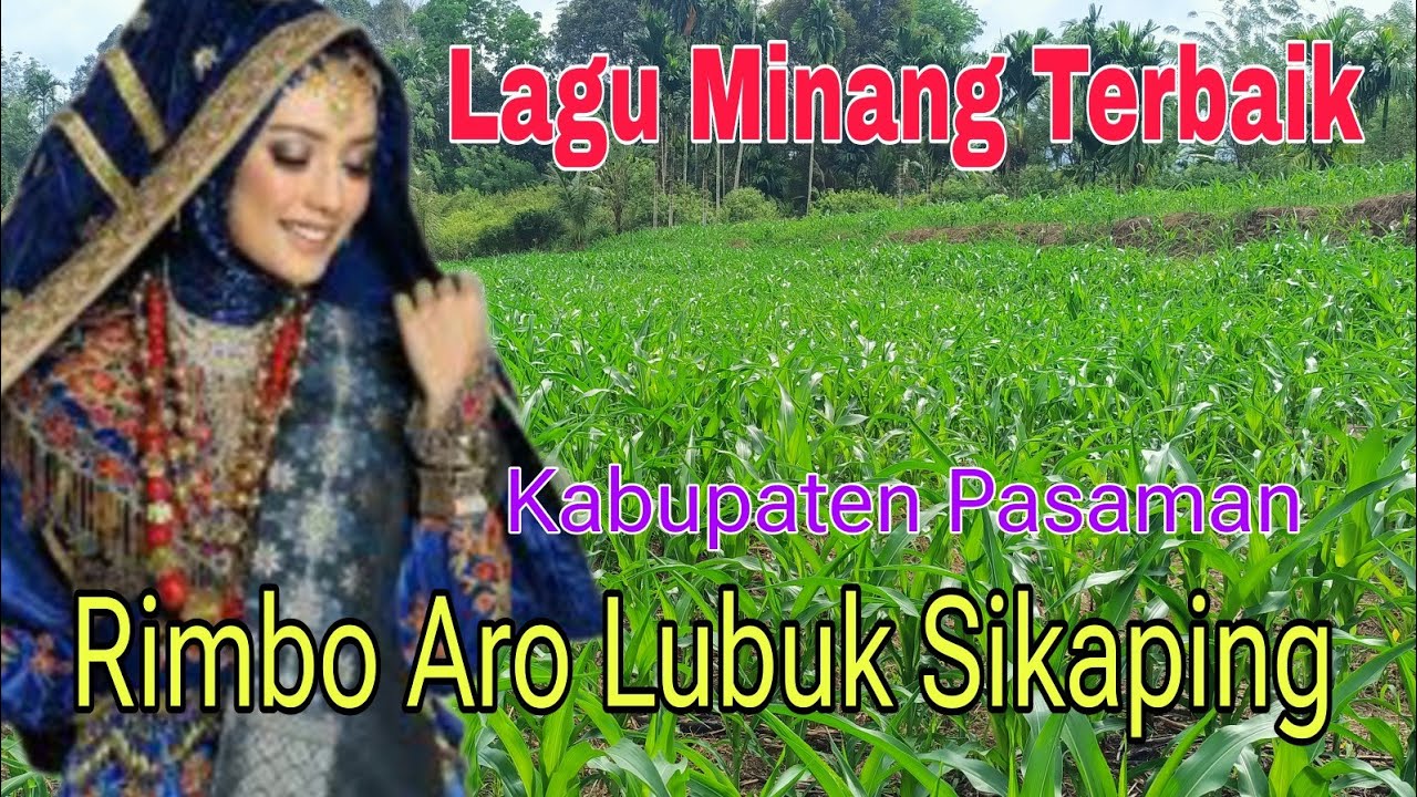 Lagu Minang Rancak‼️Perjalanan di Rimbo Aro, Nagari Tanjung Beringin ...