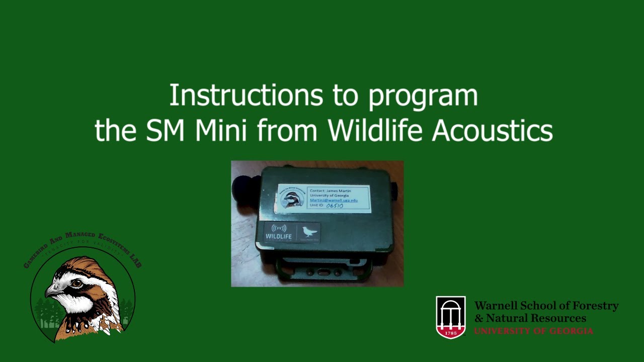 Instructions to program the SM Mini from Wildlife Acoustics - YouTube