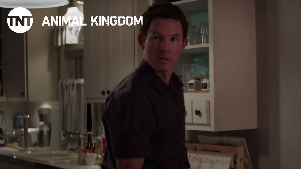 Who Is Lena In Animal Kingdom at Rita Skelley blog