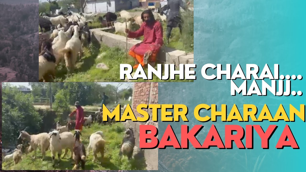 RANJHE CHARAI MANJJ || MASTER CHARAAN BAKRIYA || - YouTube