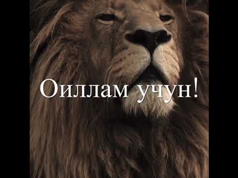 dastoyni turaman har doim#islomuz #islomummati