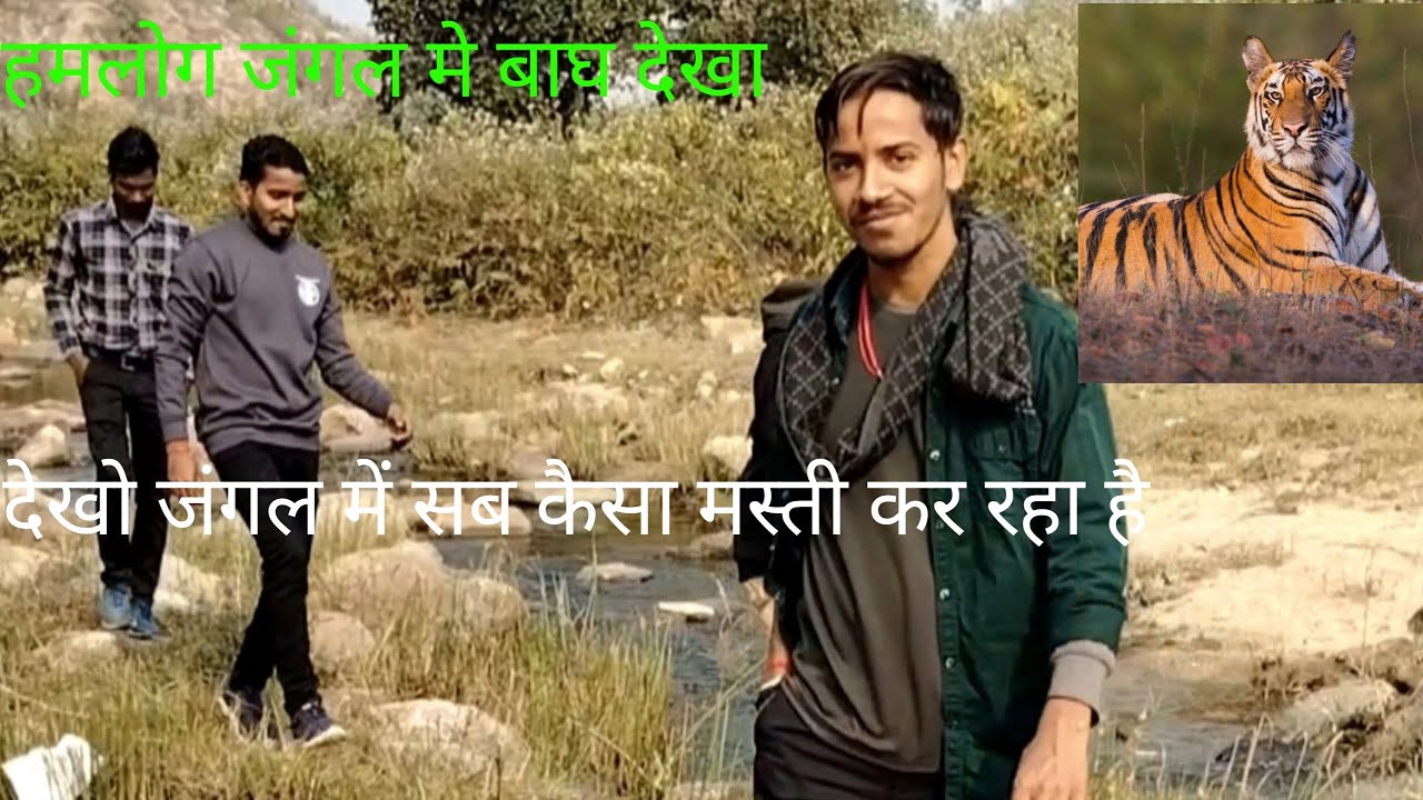 jamui forest view (jamui bihar forest) - YouTube