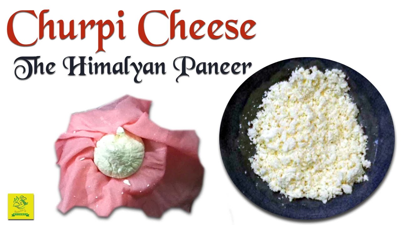 Churpi Cheese Recipe I How to make Chhurpi Cheese I Durkha Recipe - YouTube