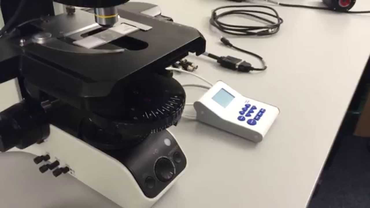 Easily Accomplish Basic Camera Triggering with wLS Light Source - YouTube