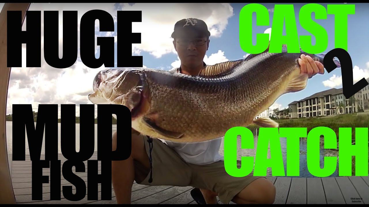 Quick Clip Huge Bowfin Mudfish on Missile Baits DBomb - YouTube