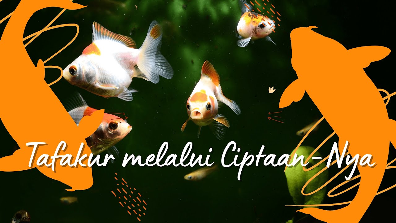 MEMBIASAKAN DIRI BERTAFAKUR | BERTAFAKUR DENGAN CIPTAAN-NYA - YouTube