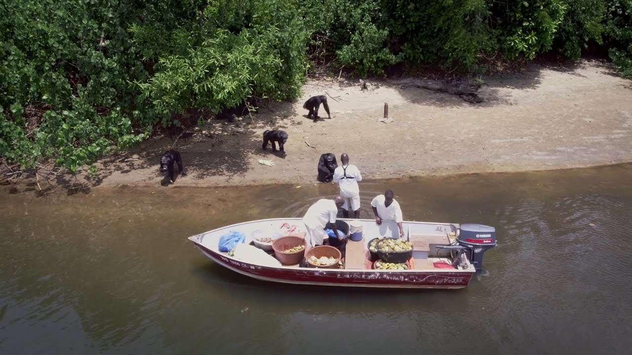 Blood island - cqserre