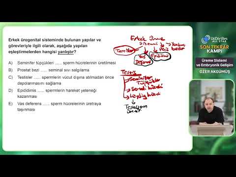 ERKEK ÜREME SİSTEMİ