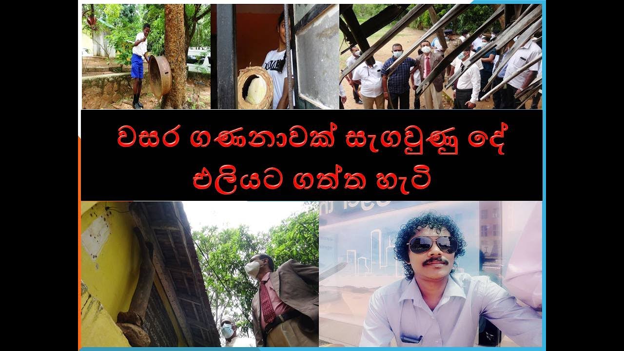 rathmal gaha ela pasala 02 dambulla වසර ගණනාවක් සැගවුණු දේ එලියට ගත්ත ...