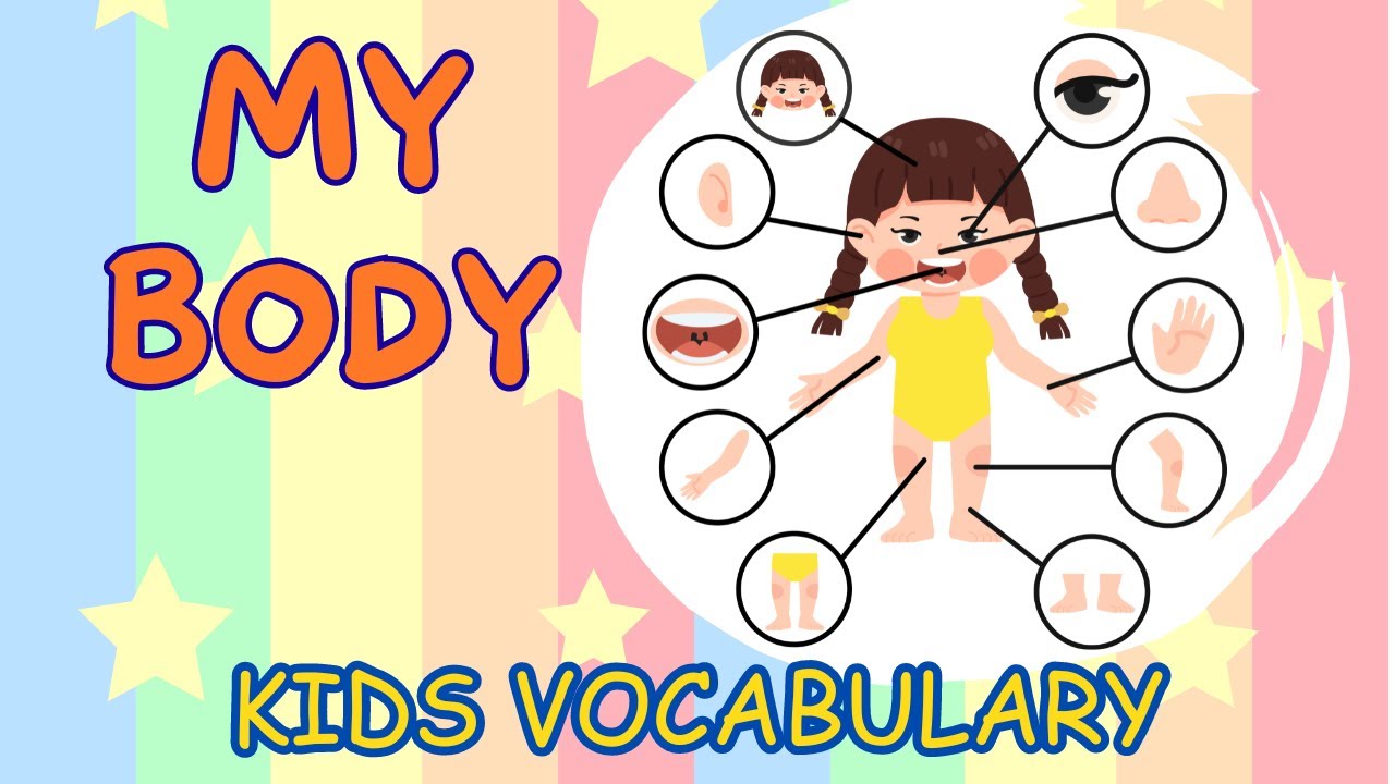 Key English Vocabulary for Kids - My Body - Body Parts - YouTube